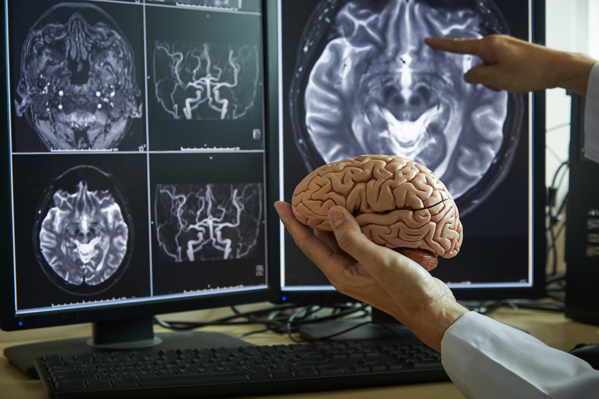 Navigating the Mind Maze: Your Brain on Narcissistic Abuse - Certified ...